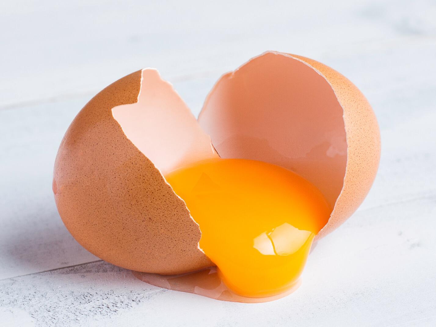 The Anatomy of an Egg | MannaPro