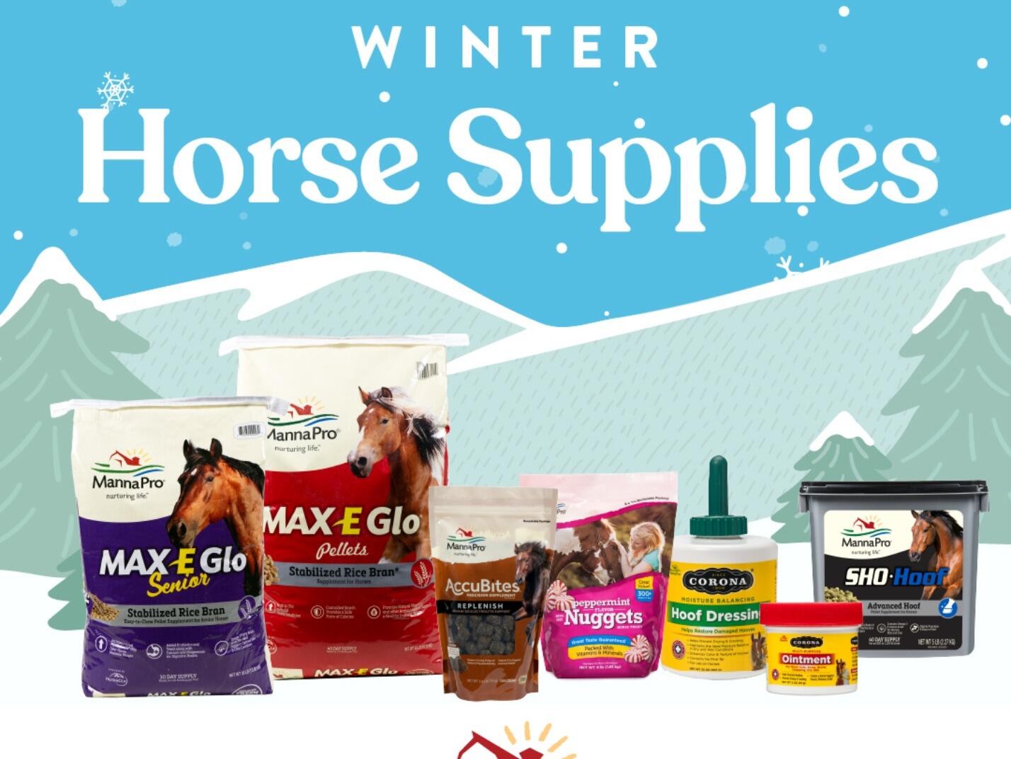 Winter Horse Supplies | How to Help Your Horse Thrive in Winter | MannaPro