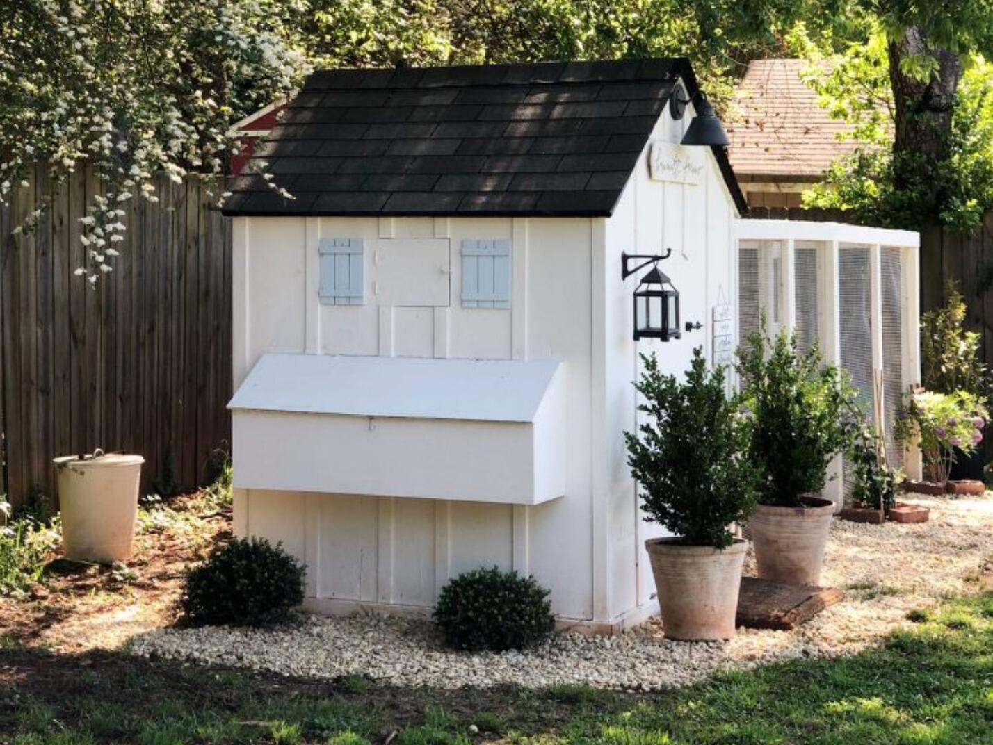 Moving your chicken coop and backyard chickens to a new home | Manna ...