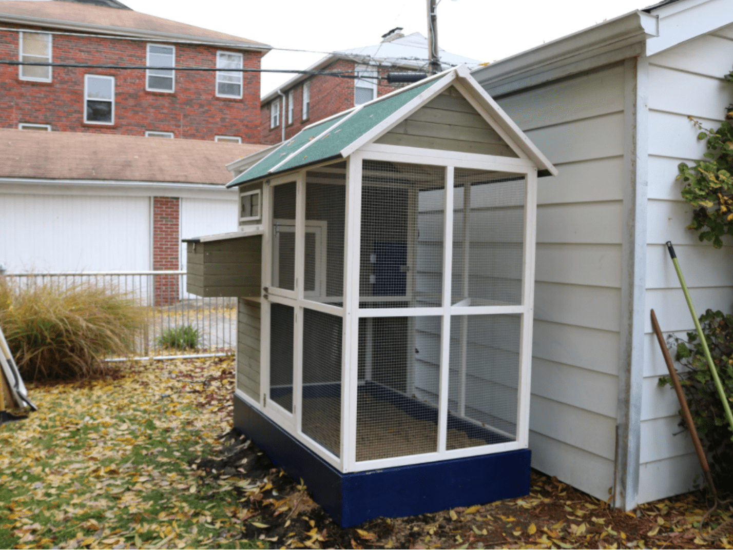 City Chicken Guide: Chicken Coop Ideas and Advice from an Expert on ...