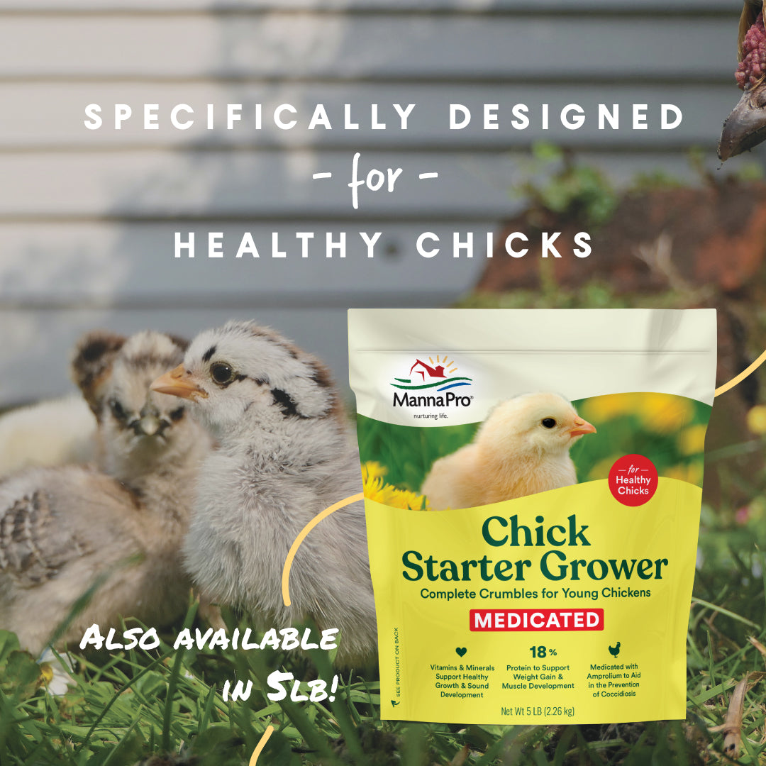 Chick Starter Medicated | MannaPro