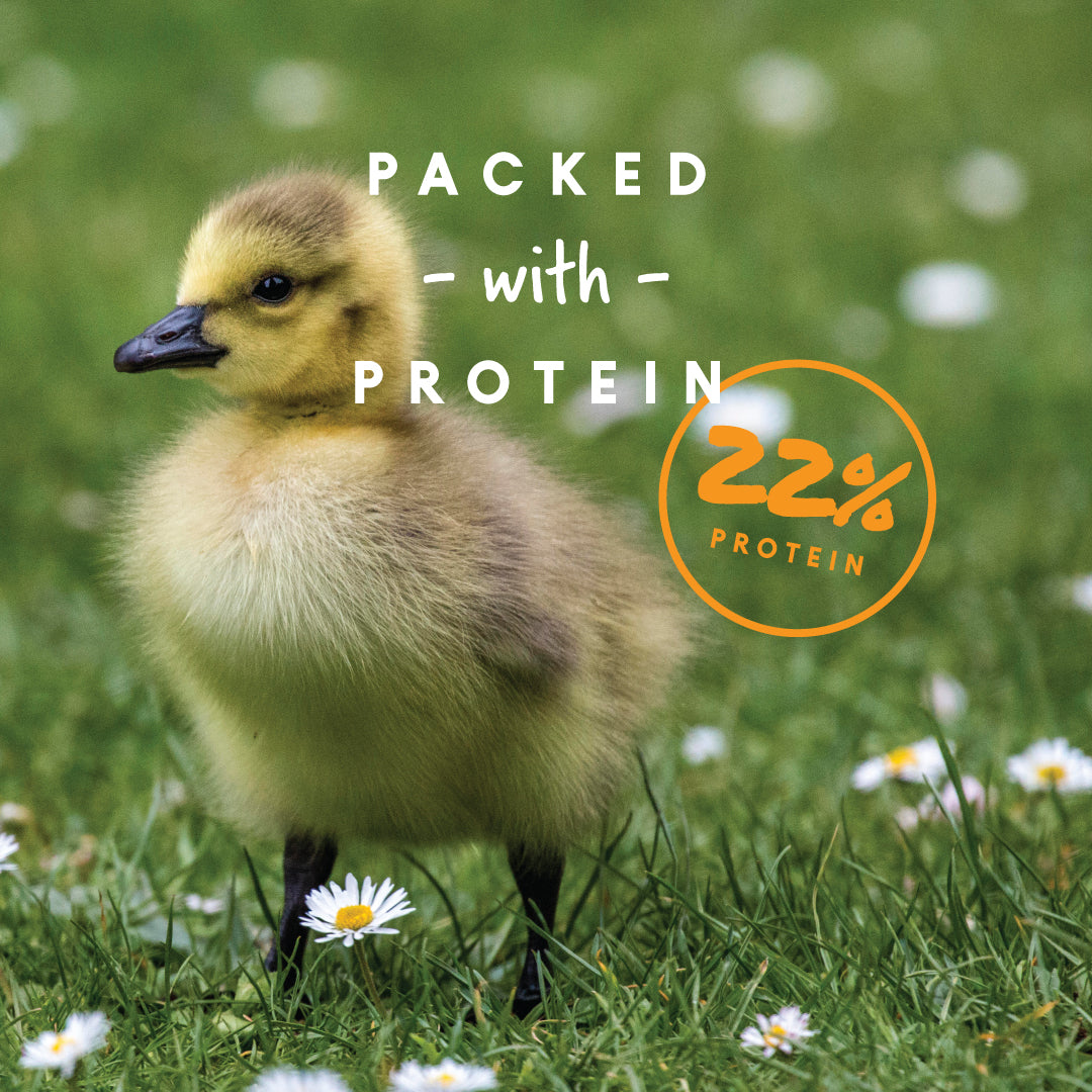 Duck Starter & Grower Crumble | MannaPro