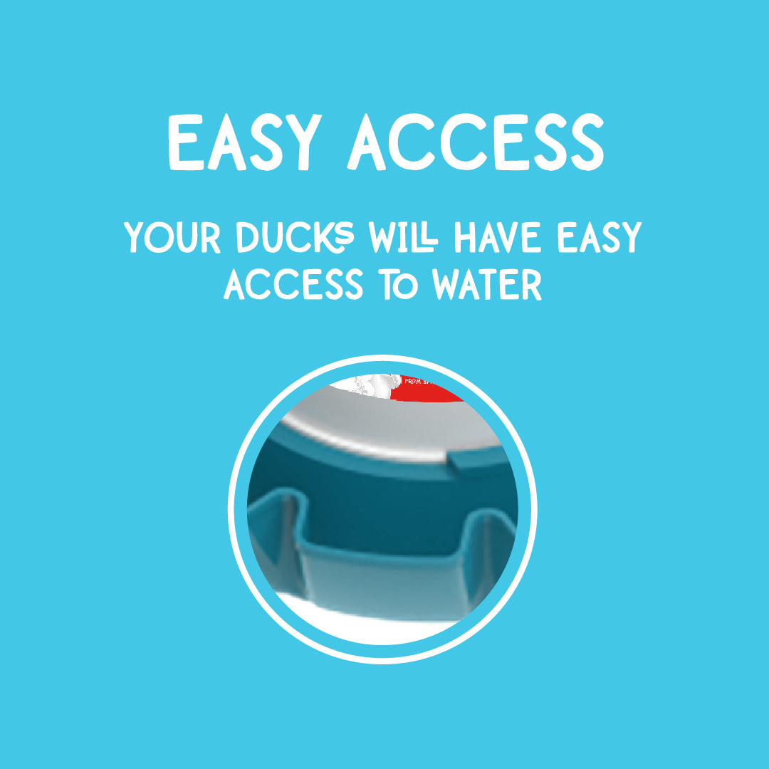 Flock Party® Duck & Goose Waterer | MannaPro