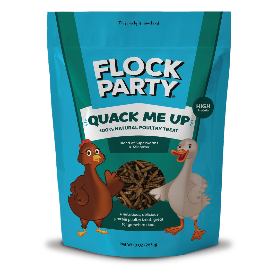 Flock Party™ Quack Me Up | MannaPro