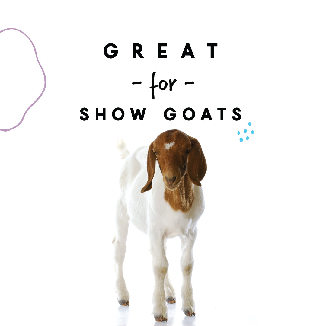 Goat Skin & Coat Supplement | MannaPro