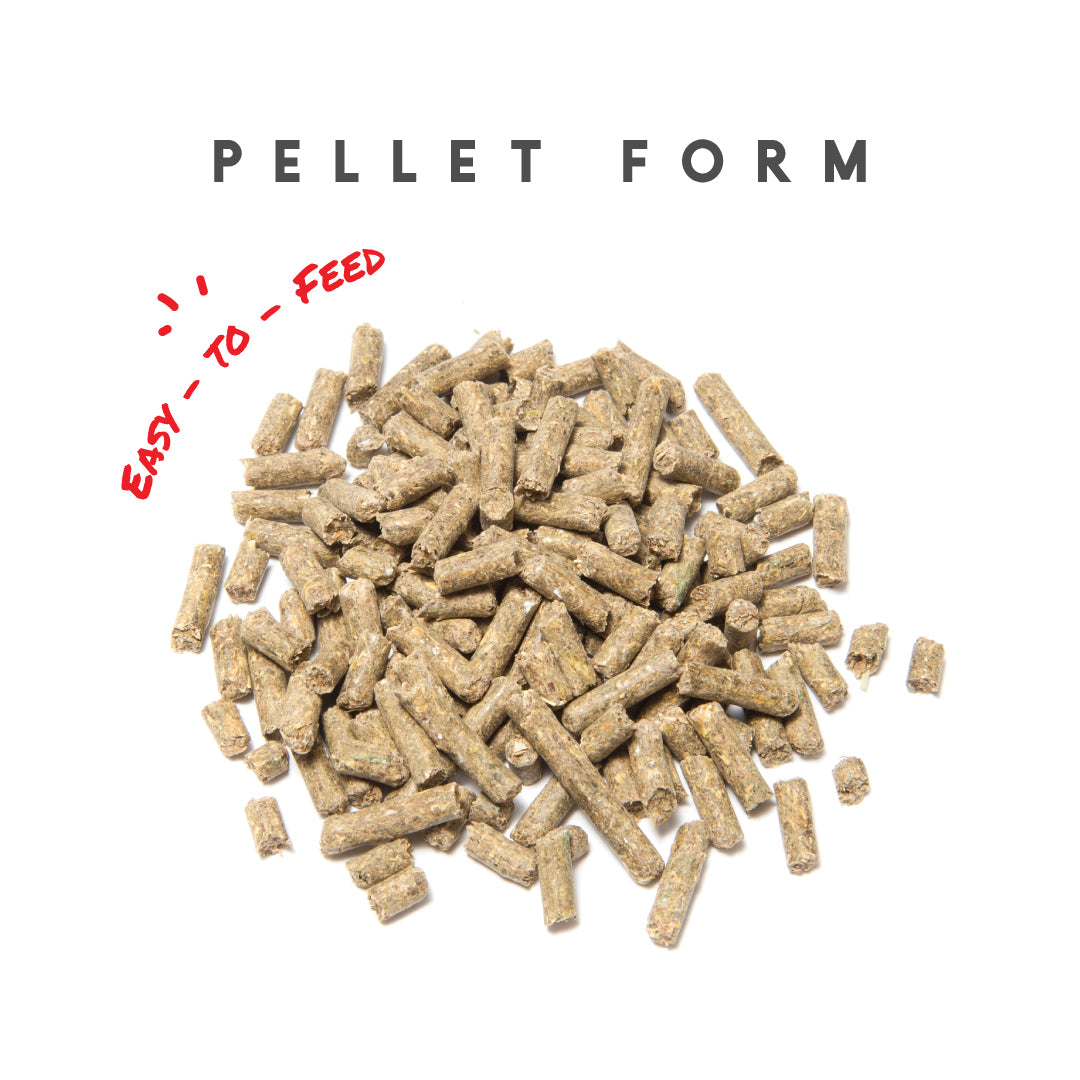 Sho-Glo® | MannaPro