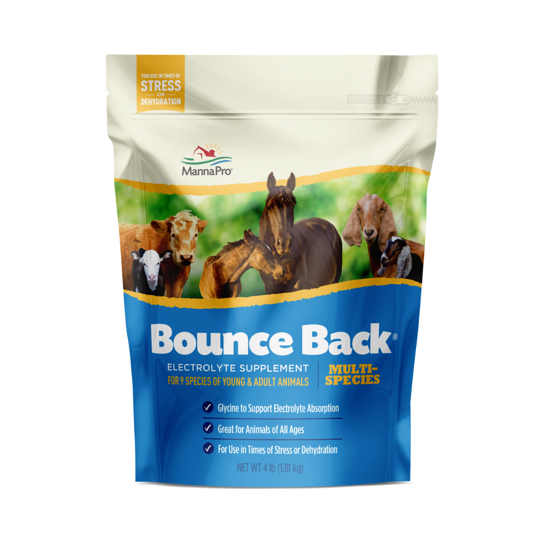 Bounce Back® Electrolyte Supplement | MannaPro