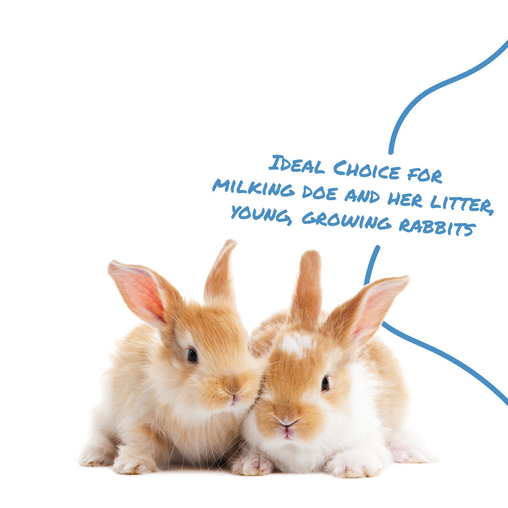 Select Series® SHO Formula Rabbit Feed | MannaPro